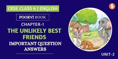 The Unlikely Best Friends Question Answers (Important)| Class 6 English ...