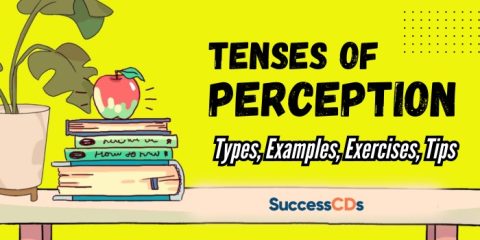 Tenses of Perception Types, Examples, Exercises, Tips