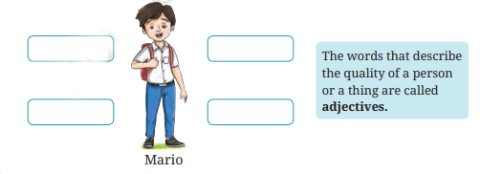 The Chair Question Answers (Important)| Class 6 English Poorvi Book