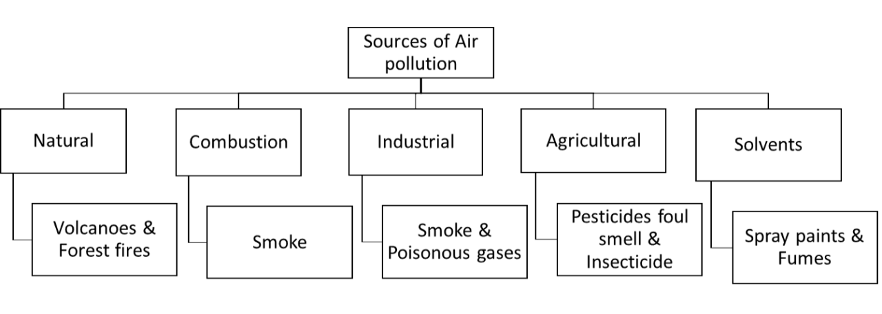 Information Transfer - Types, Examples, Exercises