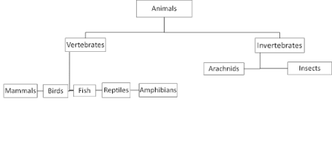 Information Transfer - Types, Examples, Exercises