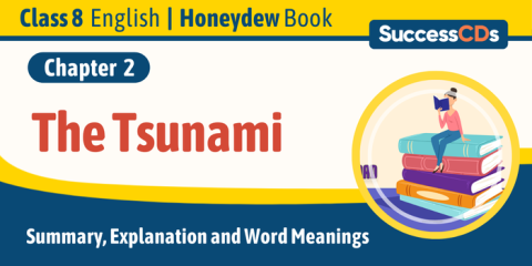 The Tsunami Summary, Explanation Class 8 Chapter 2