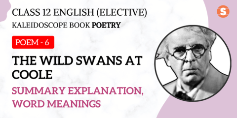 The Wild Swans at Coole Summary, Explanation - Class 12 Poem 6