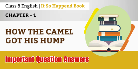 How The Camel Got Its Hump Question Answers (Important)| Class 8 ...