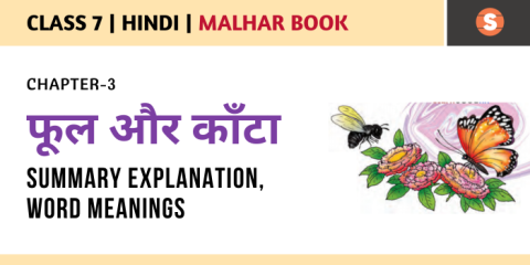 फूल और काँंटा सार Phool Aur Kaanta Summary, Explanation