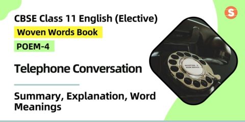 Telephone Conversation Summary Class 11 Poem 4, Explanation, Word Meanings