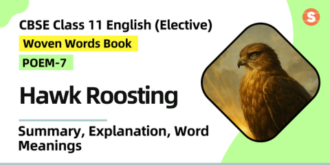Hawk Roosting Summary Class 11 Poem 7, Explanation, Word Meanings