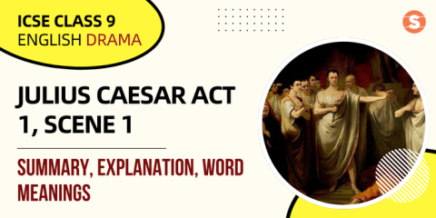 Julius Caesar Act 1, Scene 1 Summary | ICSE Class 9 English Drama